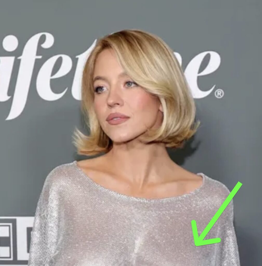 Sydney Sweeney Stuns Internet Over This Provocative Naked Dress – Saga News
